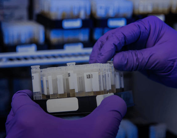 FormFox Training Academy